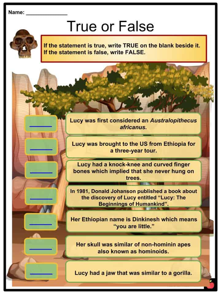 Lucy Australopithecus Worksheets & Facts | Discovery, Features