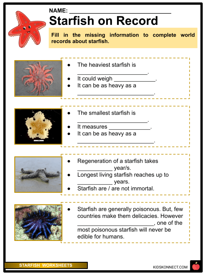 Starfish Worksheets & Facts | Types, Anatomy, Habitat, Diet