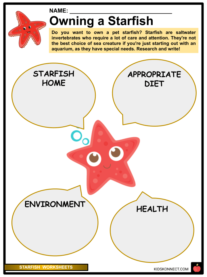 Starfish Worksheets & Facts | Types, Anatomy, Habitat, Diet