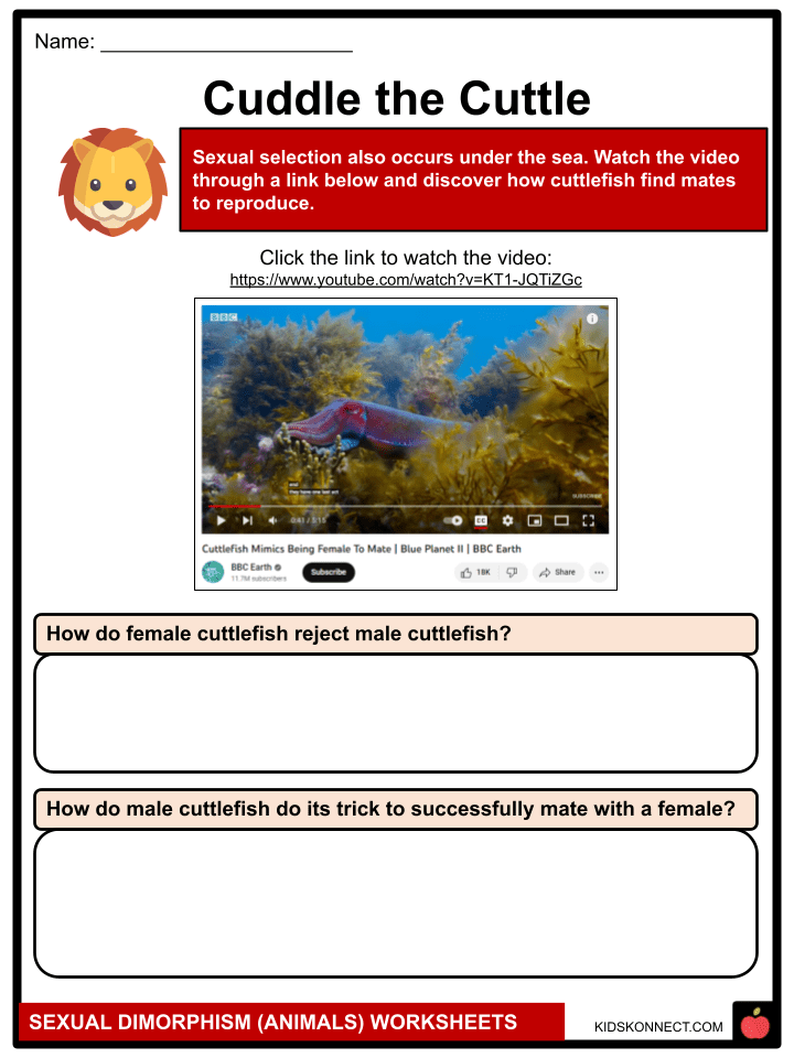 Sexual Dimorphism Facts & Worksheets | Etymology, Function