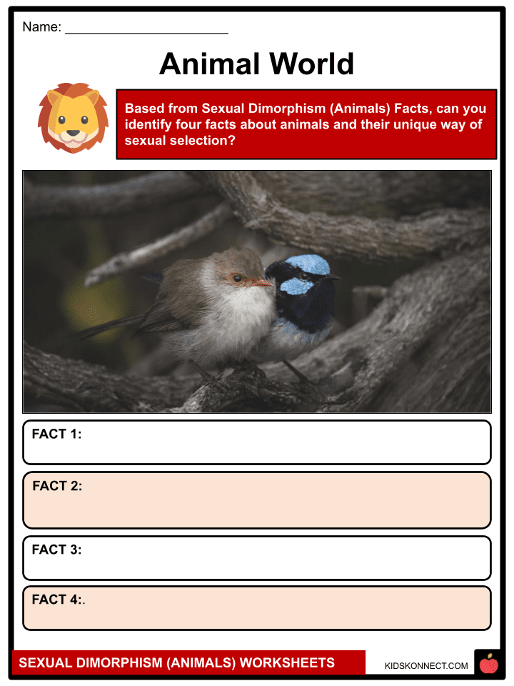 Sexual Dimorphism Facts & Worksheets | Etymology, Function