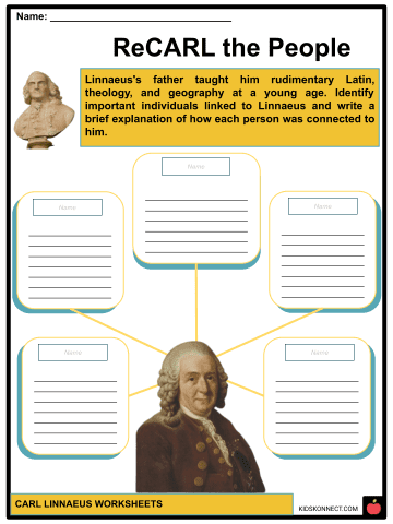Carl Linnaeus | Expeditions, Work, Systema Naturae